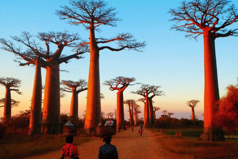 Best Places to Visit in Madagascar - An Island of Passion | Beyonder
