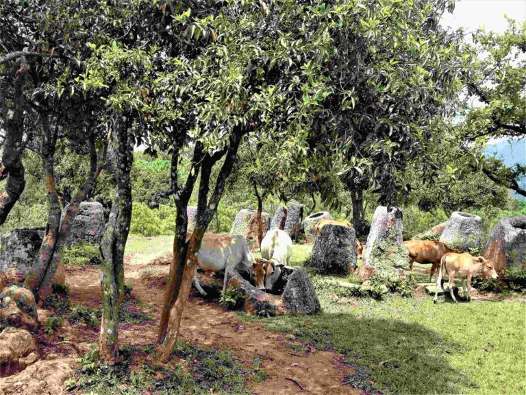 KudaKkallu, Megalithic Umbrella stones of Kerala, ancient burial sites