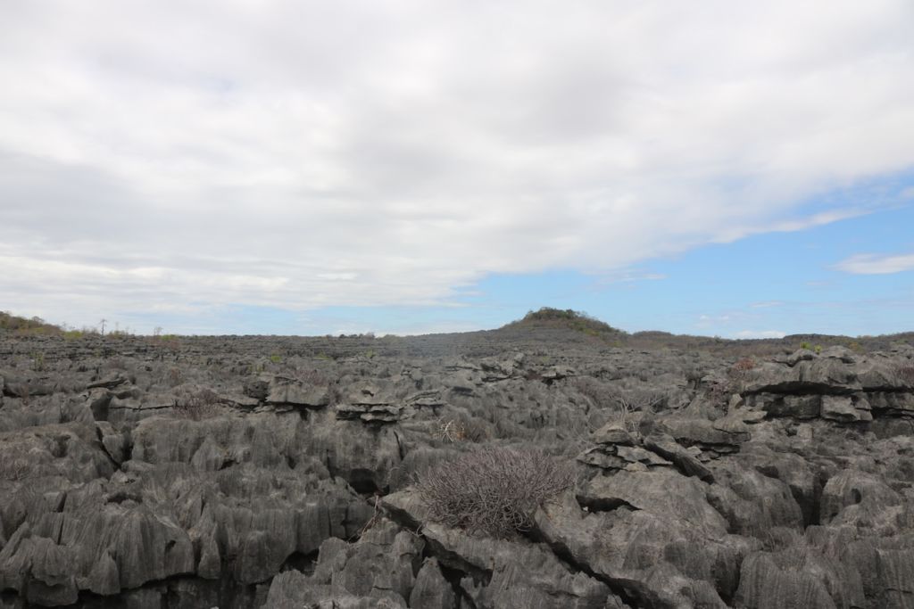 The Rock Forests of Tsingy de Bemaraha, Madagascar - Beyonder