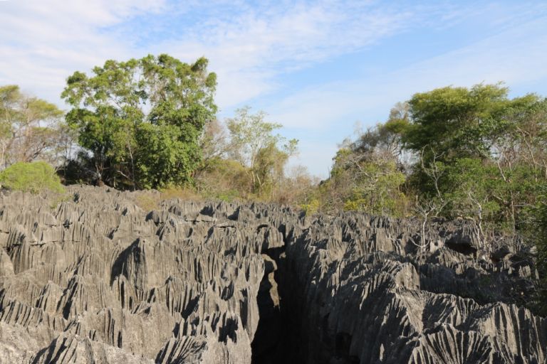The Rock Forests of Tsingy de Bemaraha, Madagascar - Beyonder