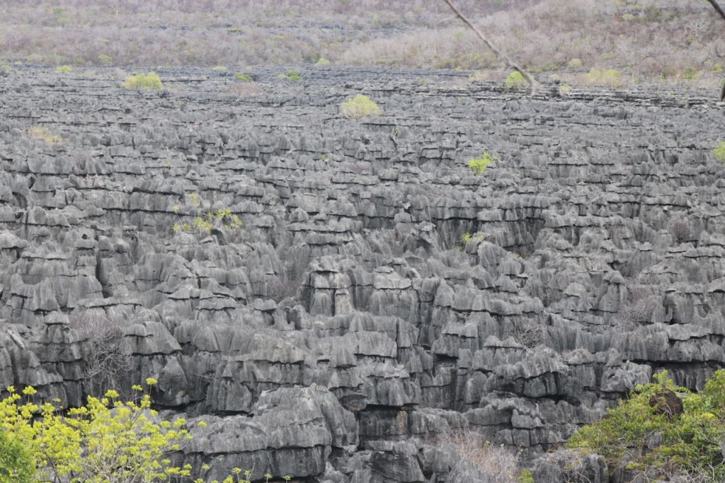 Ankarana National Park, Madagascar – Hiking trails, caves, underground ...