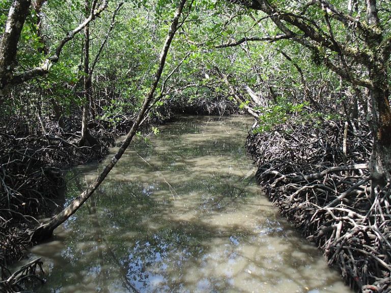 Andaman Islands- a natural wonder and a great holiday option - Beyonder