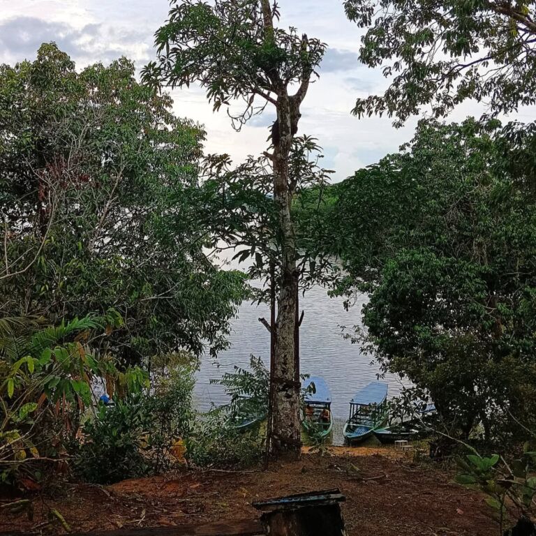 Caboclos of the Amazon jungle in Brazil - Beyonder
