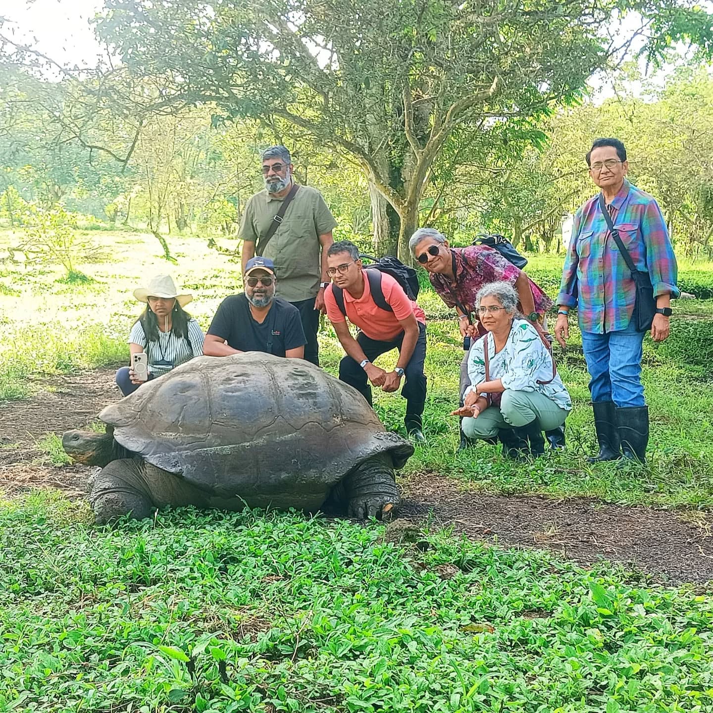 Galapagos Giant Tortoise - Zen master in Life and Love - Beyonder